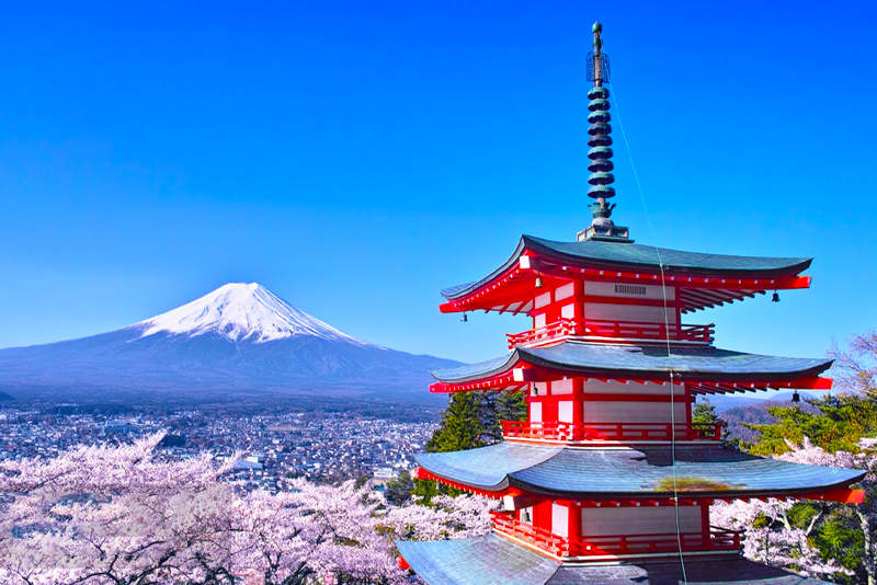 [Mount Fuji Flower Viewing] Arakurayama Sengen Park & Hikawa Clock Shop ...
